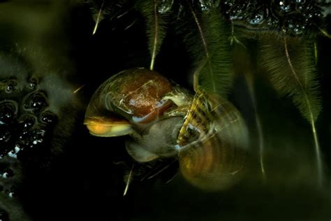 高清根系图片素材 高清根系设计素材 高清根系摄影作品 高清根系源文件下载 高清根系图片素材下载 高清根系背景素材 高清根系模板下载 搜索中心