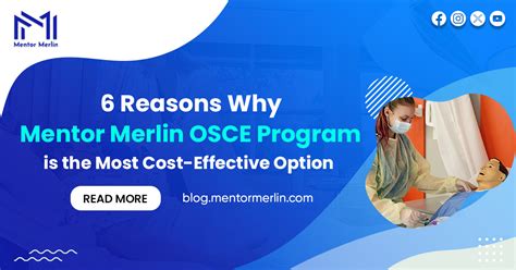 6 Reasons Why Mentor Merlin Osce Program Is The Most Cost Effective Option Mentor Merlin Blog