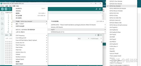 Pytorch Esp