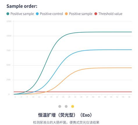 Primer Design For Rpa