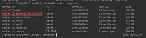 Jenkins入门安装docker版的Jenkins 配置mvnjdk等 使用案例初步 遇到的问题及解决 docker jenkins jdk CSDN博客