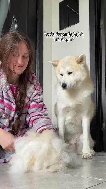 ფუმფულა Youtube