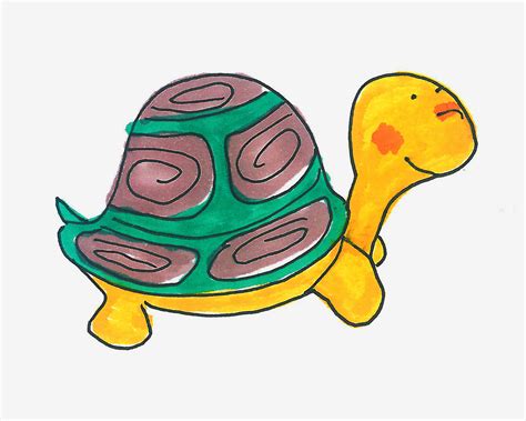幼儿1一9岁儿童美术画大全 实用简笔画乌龟的画法步骤图 肉丁儿童网