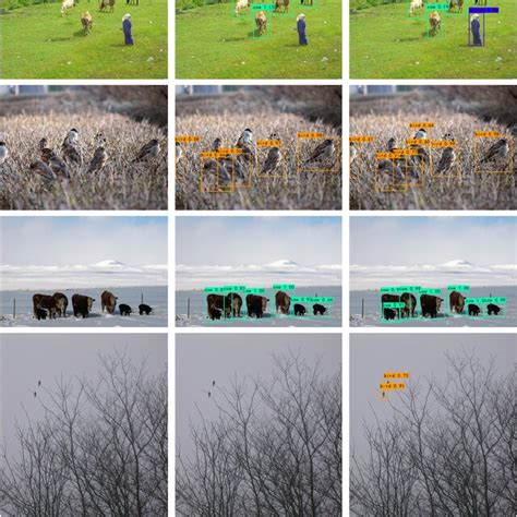 Comparison Of Experimental Results Of Visualization Of Pascal Voc2007 Download Scientific