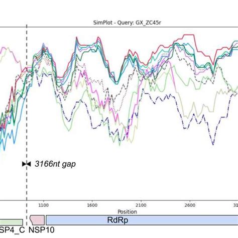 Simplot Analysis Of Nsp4 Region Spliced With Nsp10 And Rdrp Gene