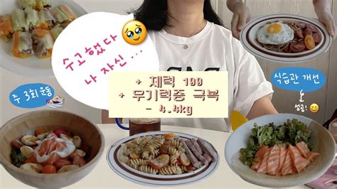 드디어 100일 다이어트 종료 마지막까지 힘내는 Diet Vlog 연어덮밥 연어메밀샐러드 월남쌈 메밀 간장 국수 통밀 푸실리 파스타 다이어트 종료합니다
