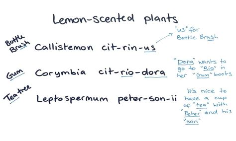10 Tips For Learning The Botanical Names Of Plants Small Green Things