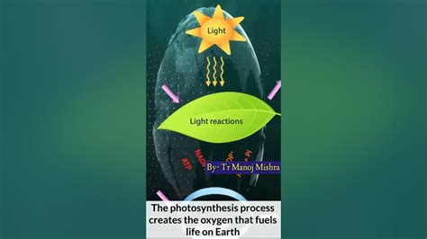 Photosynthesis Simple And Comlex Formulae Tr Manoj Mishra Youtube