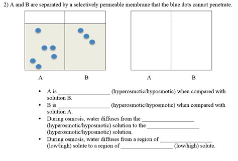 Solved 1 Fill In The Blanks With Hyposmotic Hyperosmotic