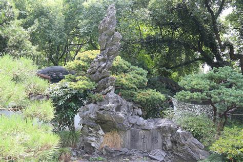 杭州竹素园的邹云峰图片 大山谷图库