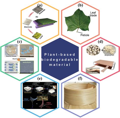 Plant Based Biodegradable Polymers Used In Bd Teng A All Edible Download Scientific Diagram