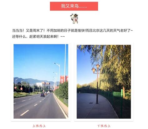 AI简单快速制作镂空英文字母 Illustrator教程 悠悠之家