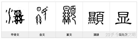 顯每日一字页部字 知乎