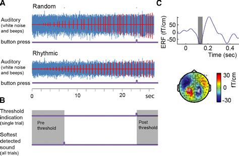 Figure 1 From Low Frequency Cortical Oscillations Entrain To