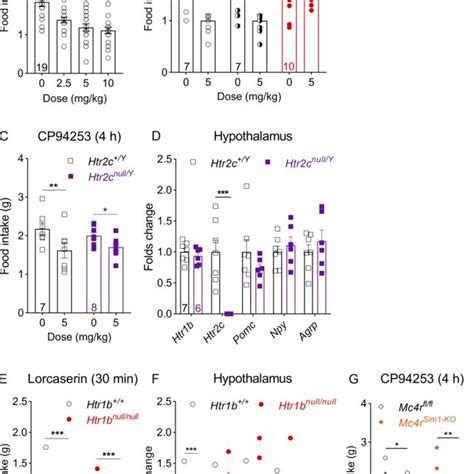 The Anti Obesity Effect Of Triptans A Refeeding In Mice Treated With
