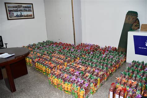 Цемент Шохой ХК Home