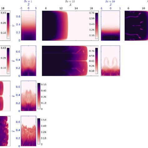 Pseudocolor Plots Of D ~ S At ~ T ¼ 234 On An ~ X À ~ Z Plane At ~ Y ¼