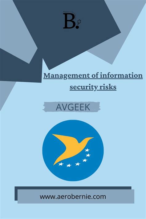 Management Of Information Security Risks