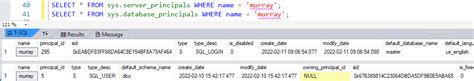 Authentication Sql Server Localdb Loginuser Cannot Access Mdf File