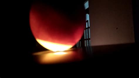 ජිවය ලබන ගං කිකිළි බිත්තර Youtube