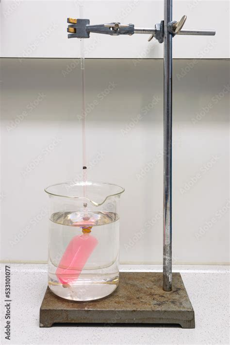 Homemade Osmometer In Which A Solution Filled Dialysis Tube Is Placed In A Glass Of Water