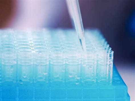 What Are Microbiome Based Cancer Diagnostic Methods