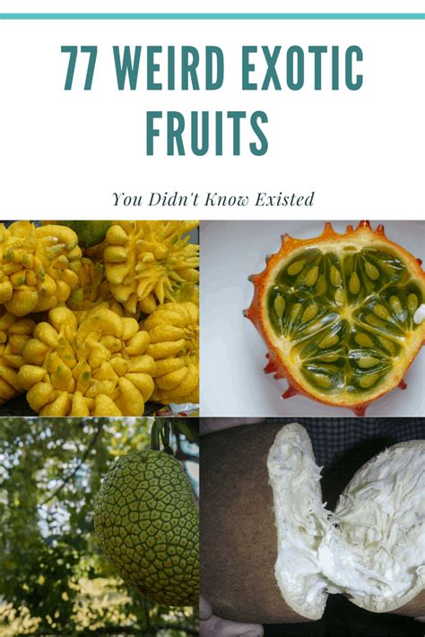 77 Weird Exotic Fruits You Didnt Know About Exotic Fruit Weird