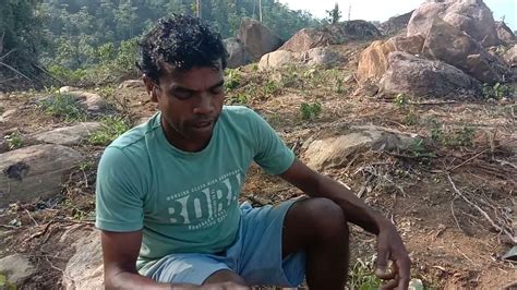 කම්බි පණුවෝ කනවට වැස්ස නැති කාලේට කුරුදු පැල මේ ක්‍රමයට හිටවන්න Youtube