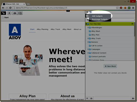Auto Translate Using The Episerver Languages Add On