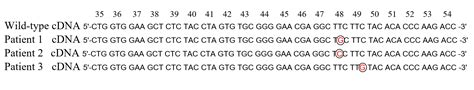 Compare Each Patients Cdna Sequence To The Wild Type Cdna S Quizlet