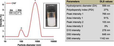 particle size distribution of extracted cnfs by dls and dls parameters