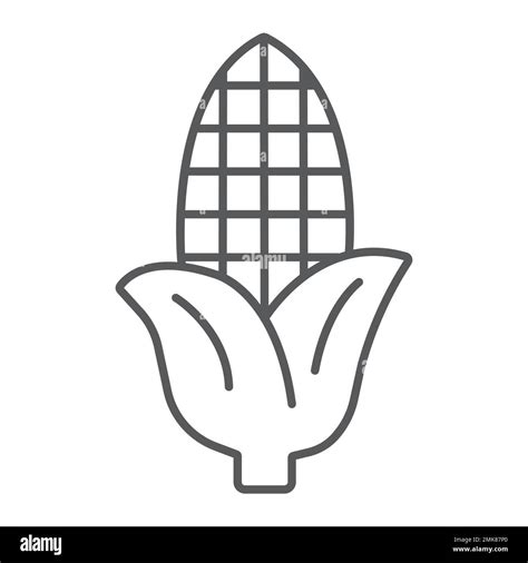 Corn Thin Line Icon Farm And Harvest Sweetcorn Sign Vector Graphics A Linear Pattern On A