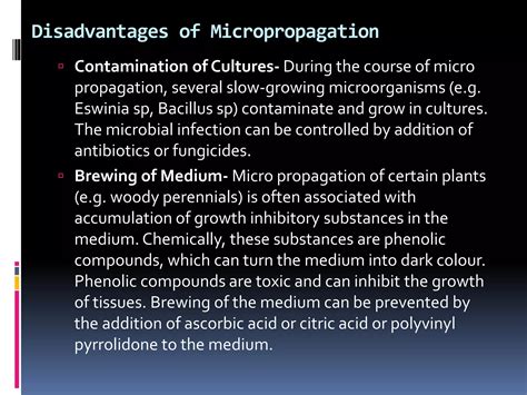 Micropropagation Pptx