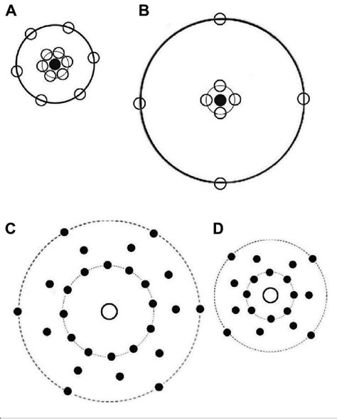 Cell Spatial Arrangement For Better Understanding Of The G R Cell Download Scientific