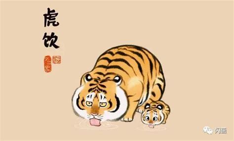 老虎哎你是要可爱死我嘛 搜狐大视野 搜狐新闻