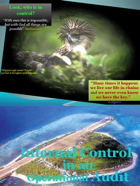 Ref4 Internal Control Pdf Internal Control Audit