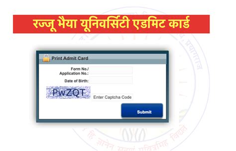 Rajju Bhaiya University Admit Card 2024 Download