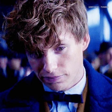 His Beast A Newt Scamander Love Story Fantastic Beasts Newt Scamander Harry Potter