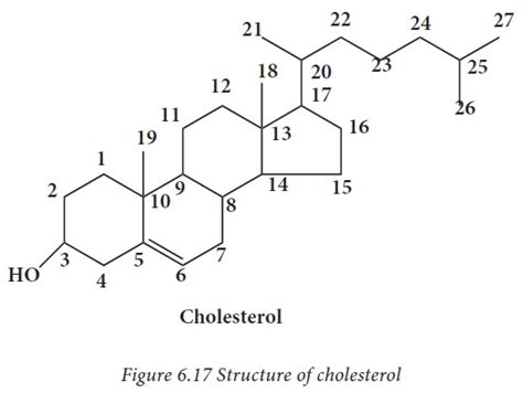 Derived Lipids Example Structure Types Importance Applications