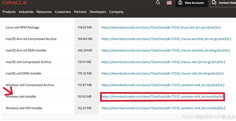 基于windows11的java Jdk环境配置win11 配置jdk Csdn博客