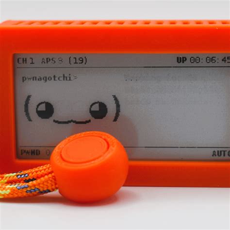 Pwnagotchi Etsy