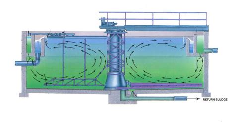 The Hydrodynamic Field Represented By The Arrows In A Peripheral Feed