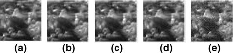 Visual Illustration Of Gaussian Noise Addition On The First Frame Of