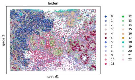 squidpy integration — spatialdata notebooks
