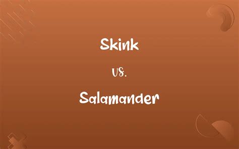 Skink Vs Salamander Know The Difference