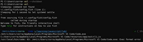 Cannot Open Explorer Exe Code In WSL2 Issue 8986 Microsoft WSL