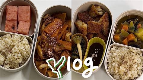 저녁에 미리 싸두기 좋은 점심도시락 메뉴🌙돈까스and카레라이스 오삼불고기 훈제오리토마토파스타 Youtube