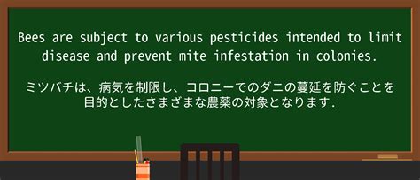 【英単語】mite Infestationを徹底解説！意味、使い方、例文、読み方