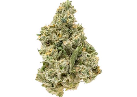 Strain Library Pennsylvania Cannabis Retailer And Grower