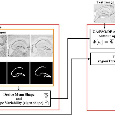General Overview Of The Hippocampus Segmentation System Download Scientific Diagram